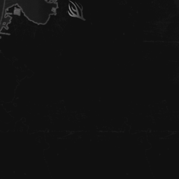 dying light black guy